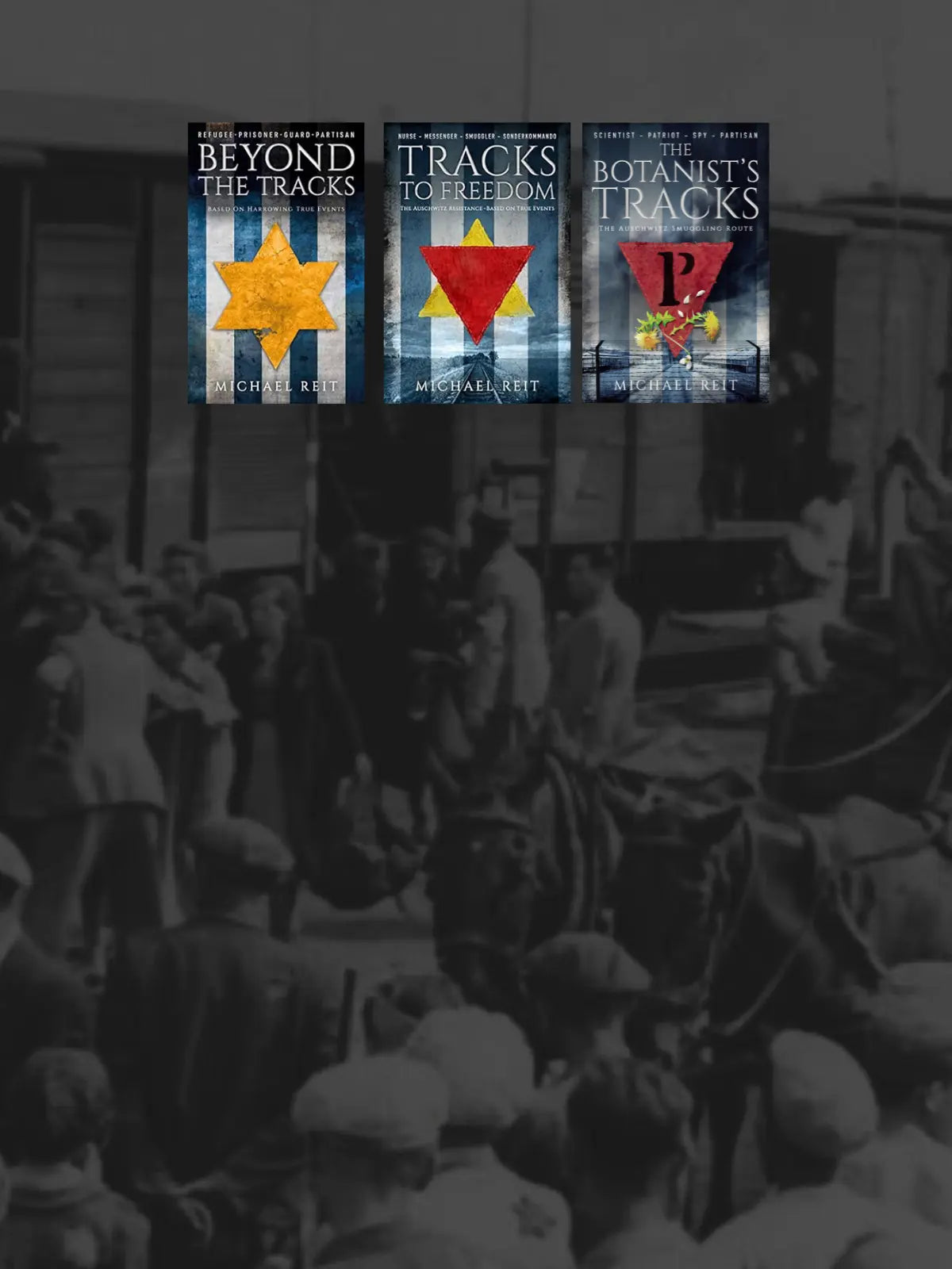 Beyond the Tracks bundle deal – Michael Reit